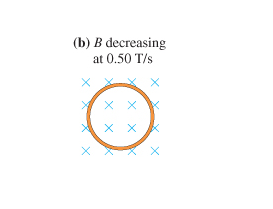 Solved The figure shows a 25-cm diameter loop in three | Chegg.com