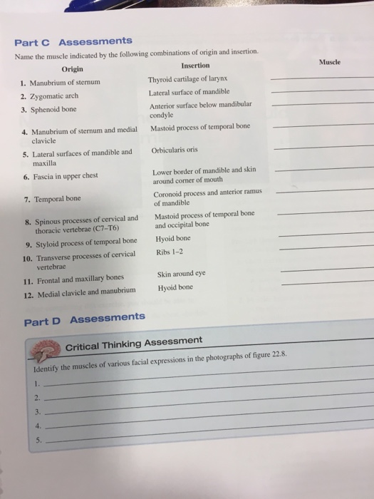 Solved Part C Assessments Name the muscle indicated by the | Chegg.com