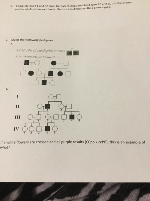 Solved Complete and F1 and F2 cross for parents that are | Chegg.com