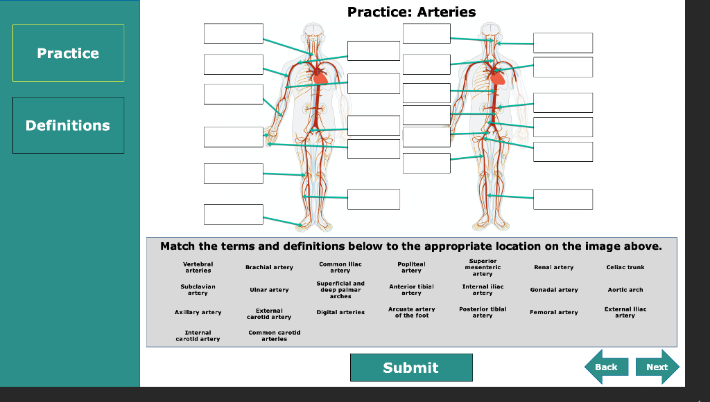 Solved Practice: Arteries Practice Definitions Match the | Chegg.com