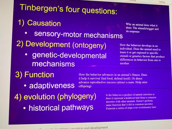 Tinbergen's Four Questions Assignment On a visit to | Chegg.com
