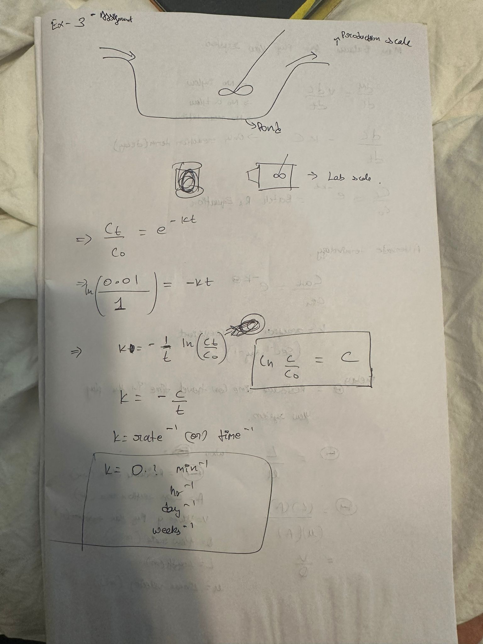 I want the solution in this format | Chegg.com