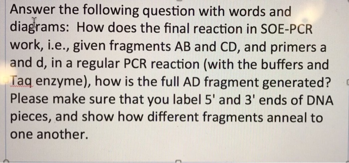 Solved How does the final reaction in SOE-PCR work, i.e., | Chegg.com