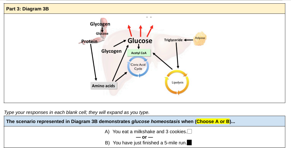 Solved The scenario represented in Diagram 3B demonstrates | Chegg.com
