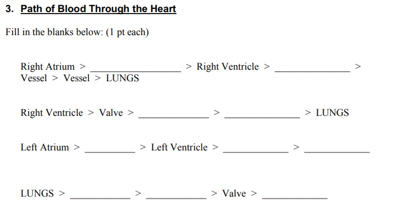 Solved 3. Path of Blood Through the Heart Fill in the blanks | Chegg.com