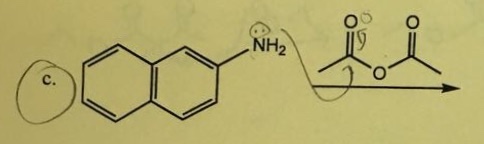 Solved NH2 C. | Chegg.com