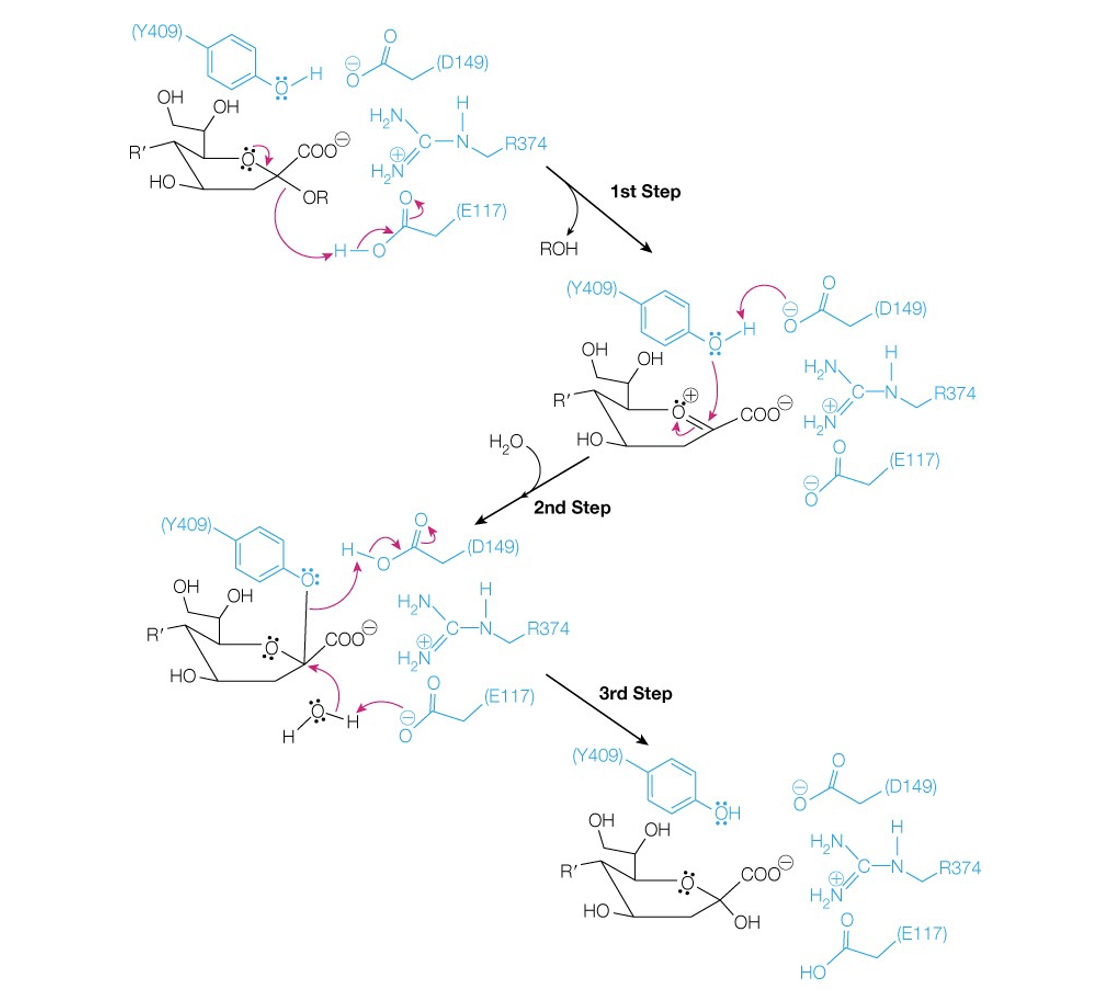 Solved In the second step, what are the roles of D149 and | Chegg.com