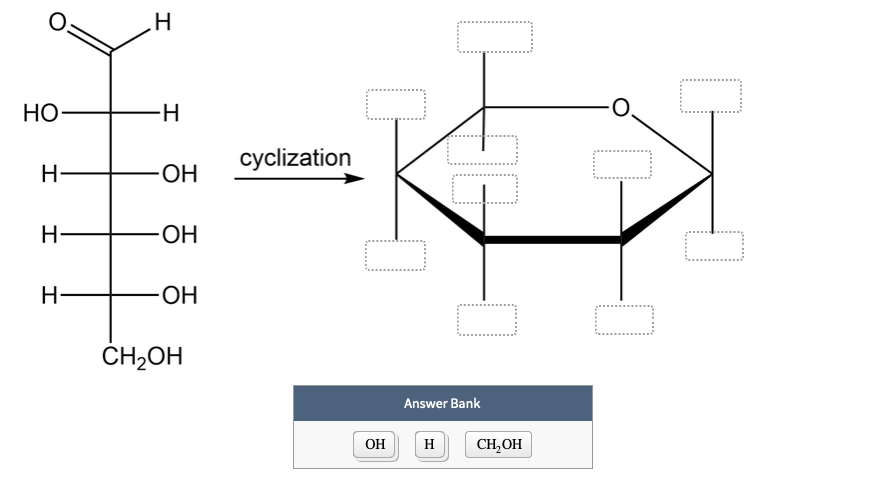 Solved Place the remaining hydroxy and hydrogen | Chegg.com