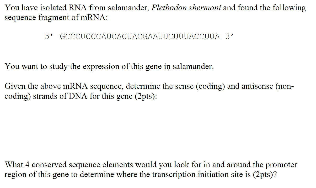 Solved You have isolated RNA from salamander, Plethodon | Chegg.com