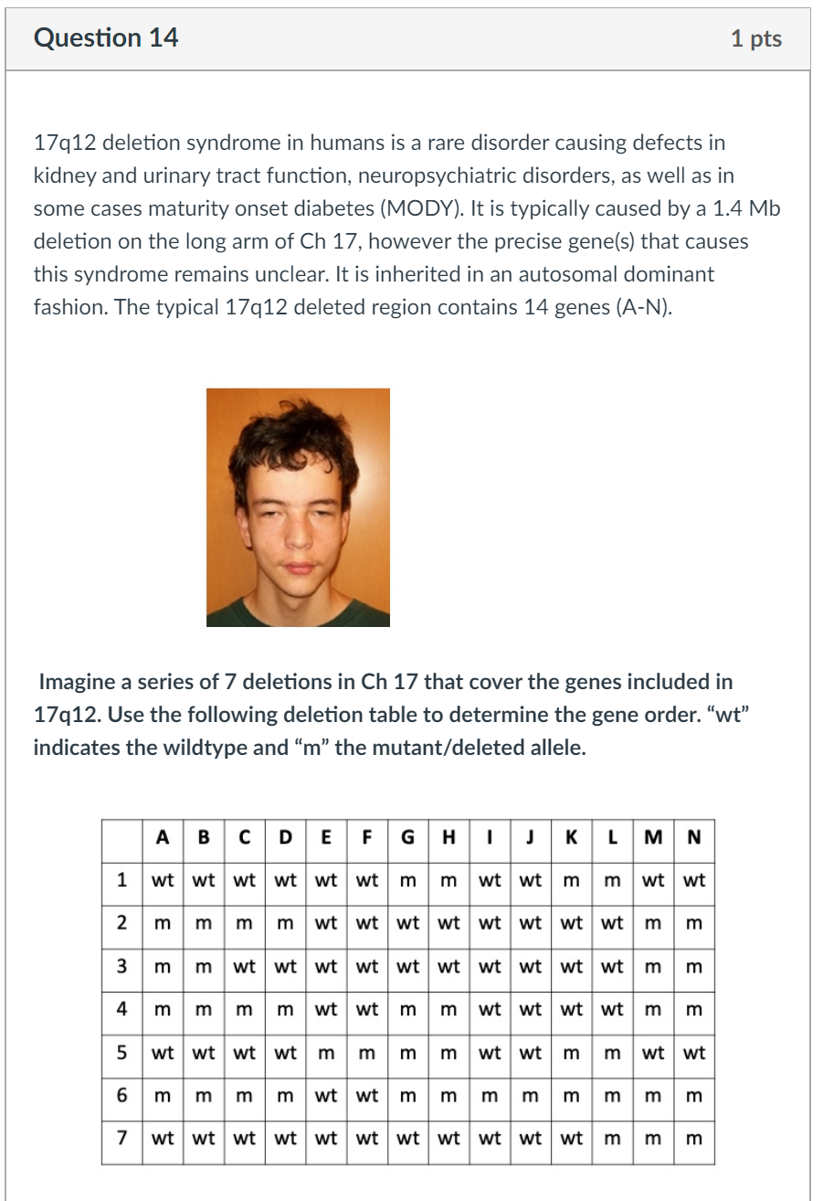 Question 14 1 pts 17q12 deletion syndrome in humans | Chegg.com