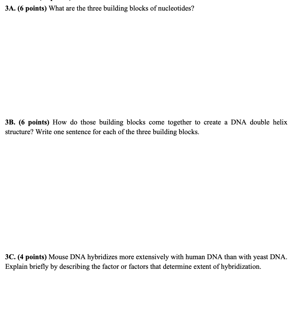 Solved 3A. (6 points) What are the three building blocks of | Chegg.com