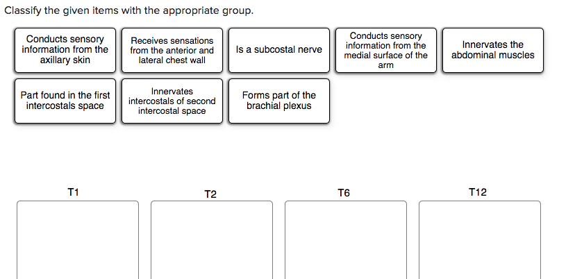 Solved Classify the given items with the appropriate group. | Chegg.com