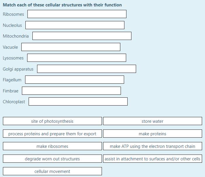 Solved Match each of these cellular structures with their | Chegg.com