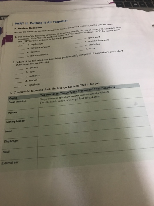 Solved HNS PART II. Putting It All Together A. Review | Chegg.com