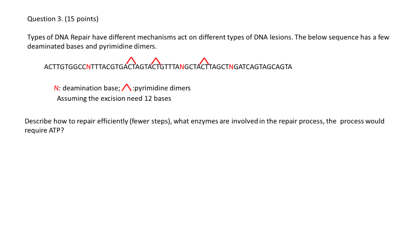Solved Question 3. (15 points) Types of DNA Repair have | Chegg.com
