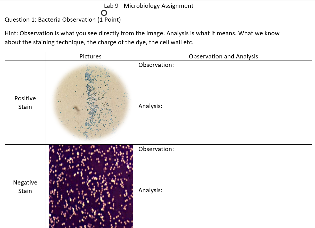 Lab 9 - Microbiology Assignment о Question 1: | Chegg.com