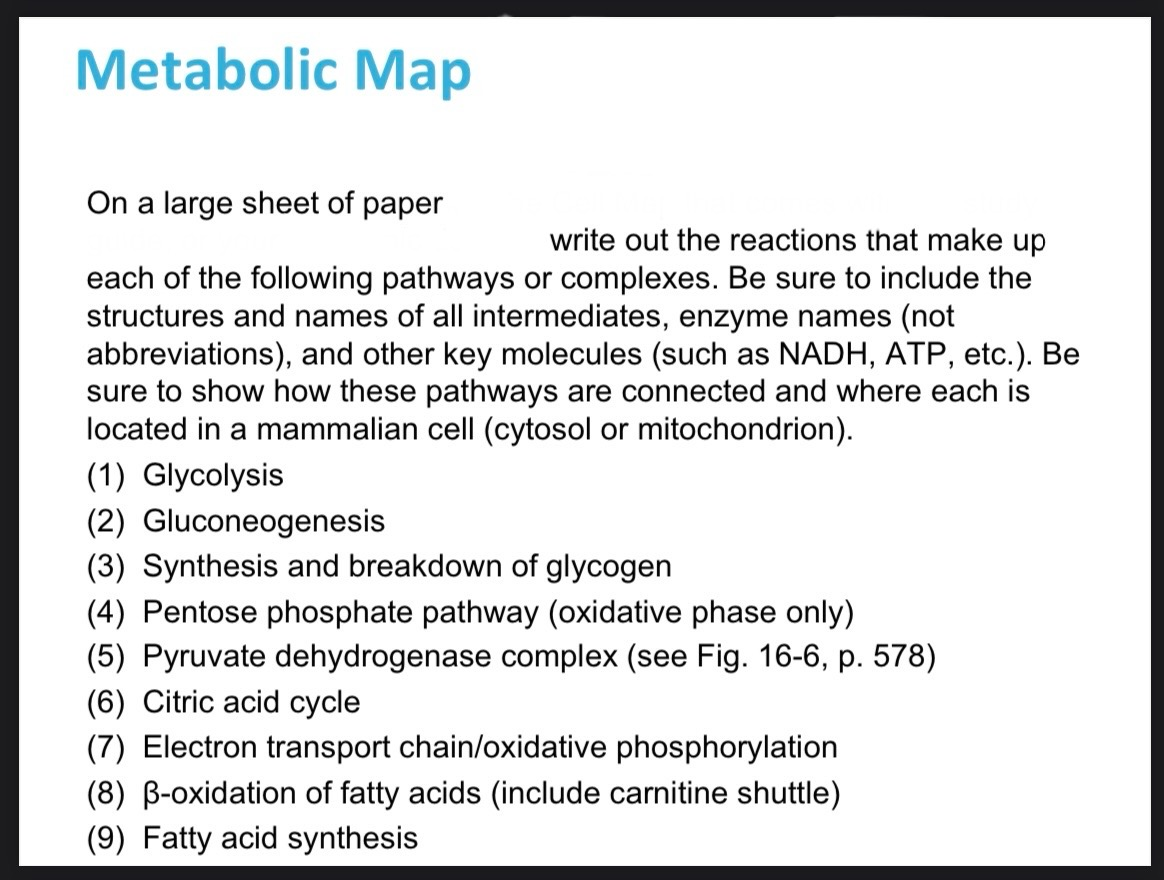 Solved Metabolic Map On a large sheet of paper write out the | Chegg.com