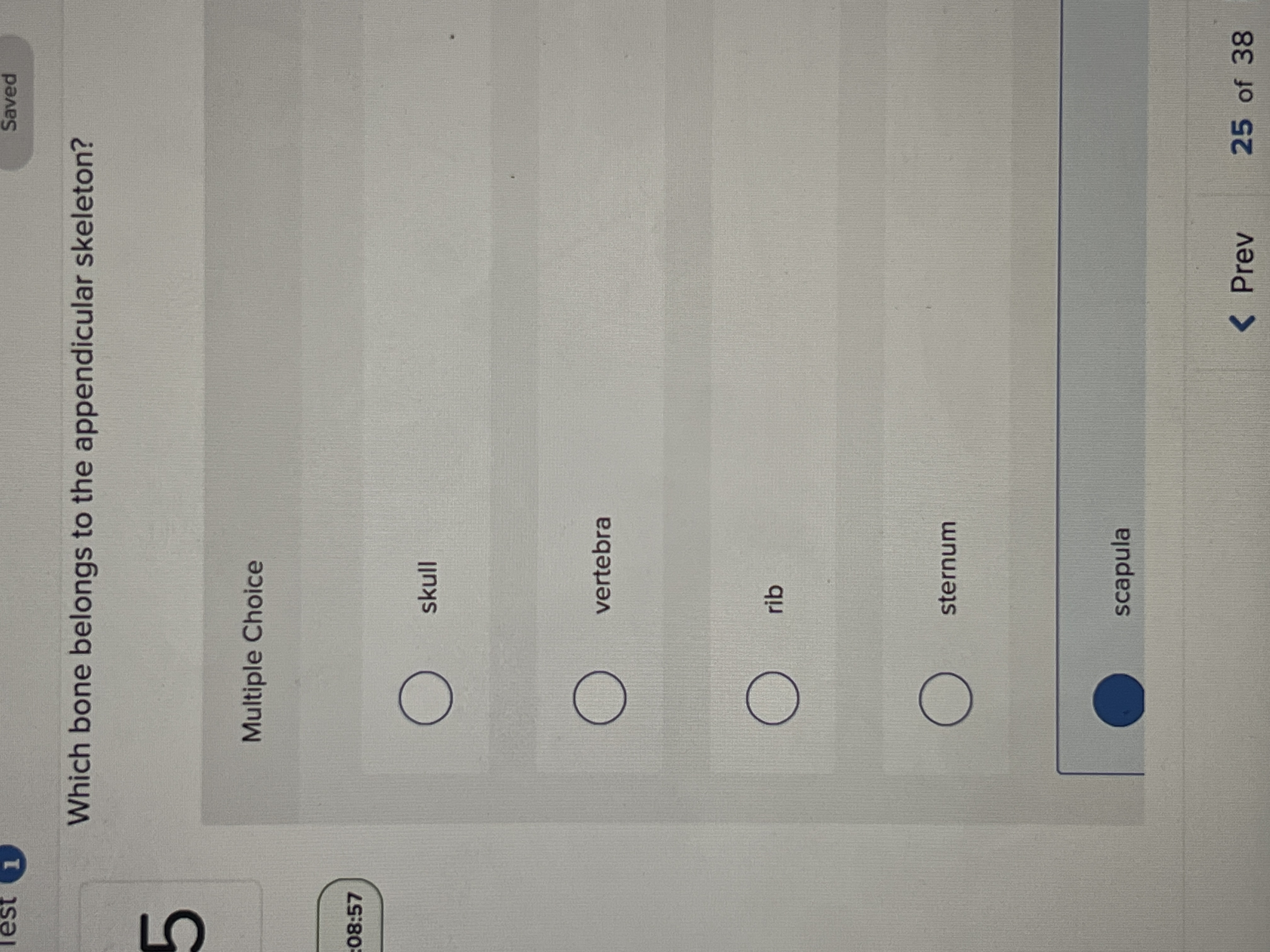 Solved Which bone belongs to the appendicular | Chegg.com