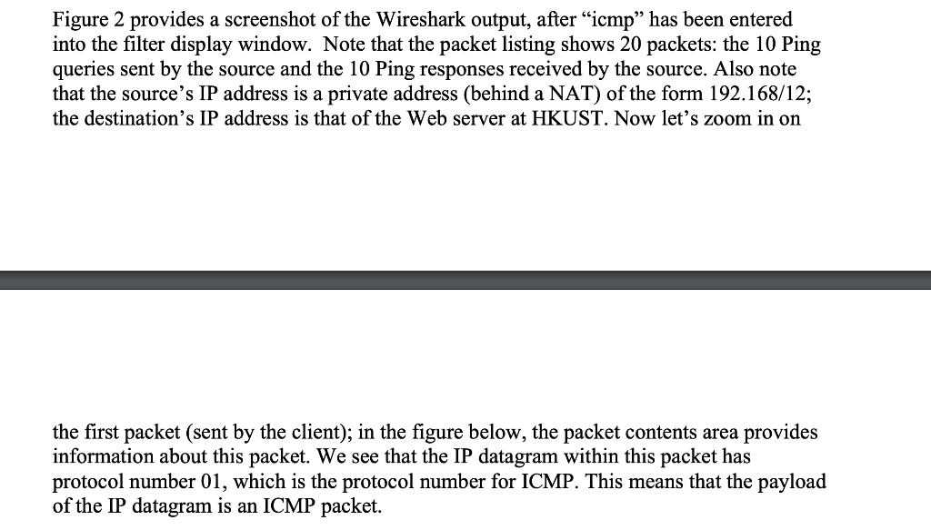 Solved ICMP messages generating by the Ping program; ICMP | Chegg.com