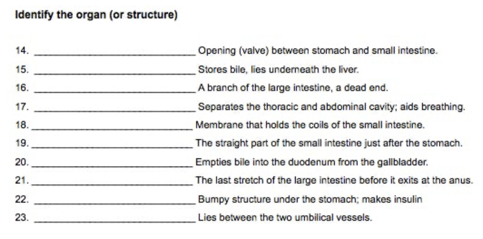 Solved Practice Questions Identify the structures on the | Chegg.com