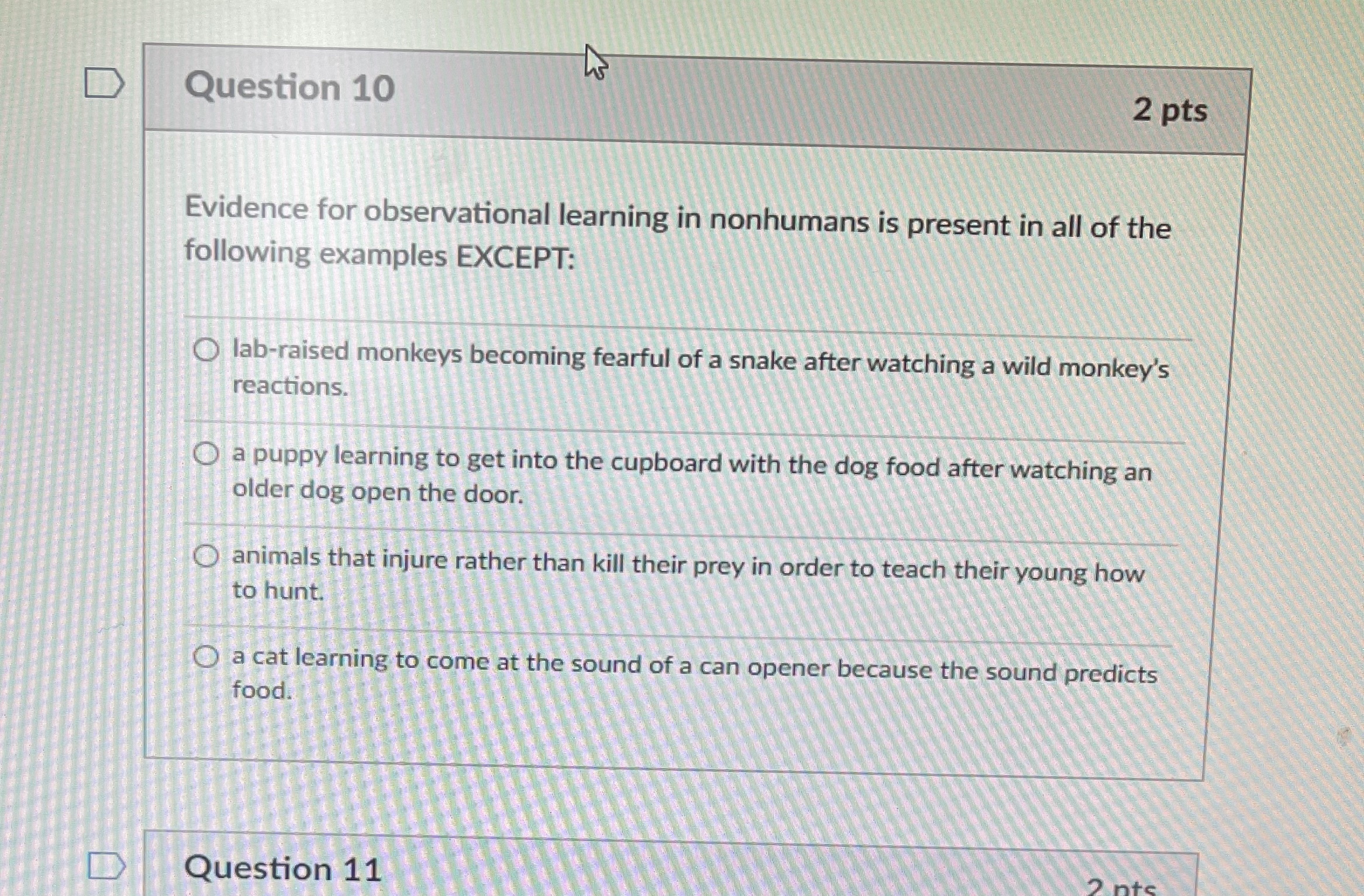 Solved Evidence for observational learning in nonhumans is | Chegg.com