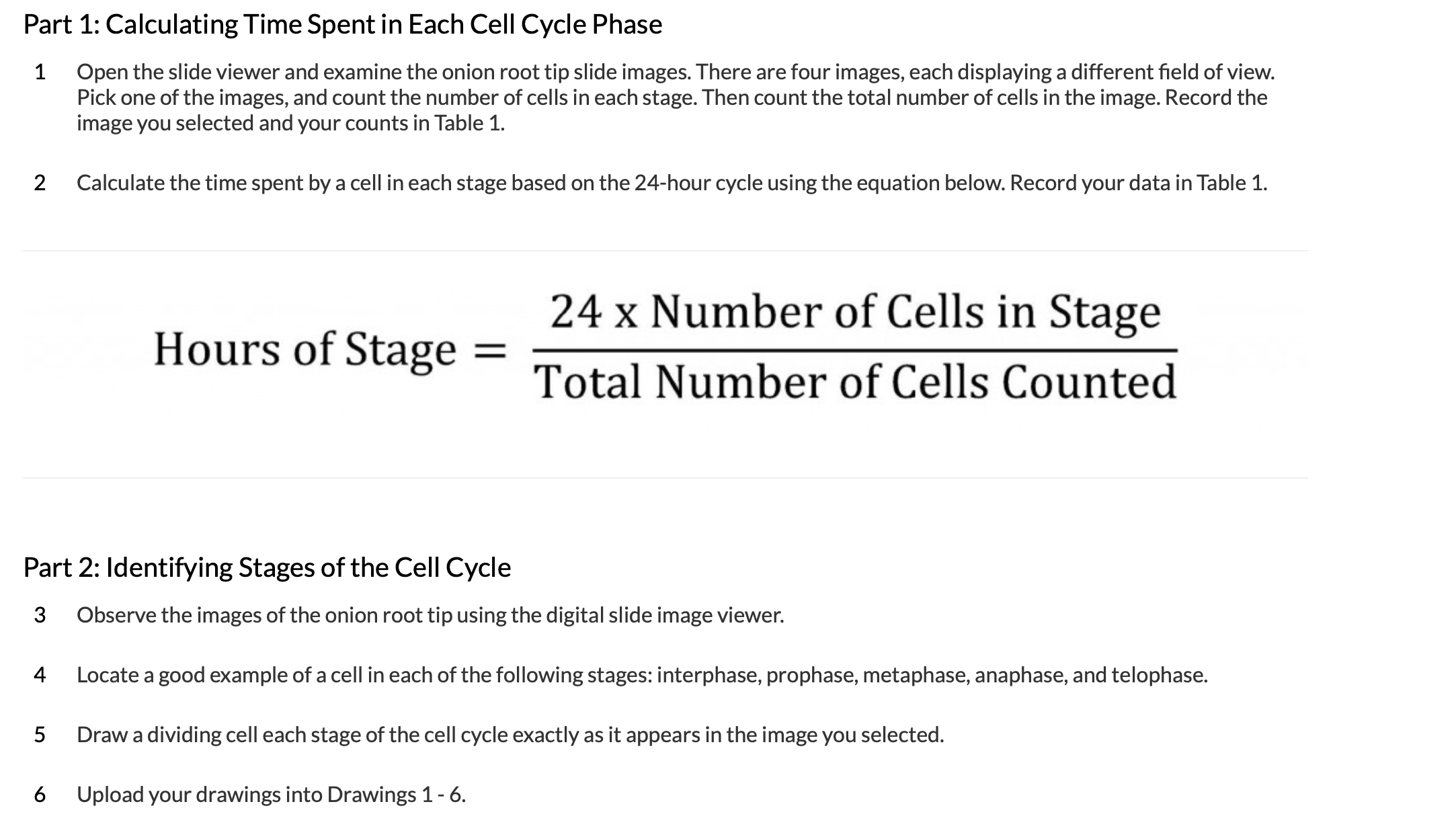Solved Part 1: Calculating Time Spent in Each Cell Cycle | Chegg.com
