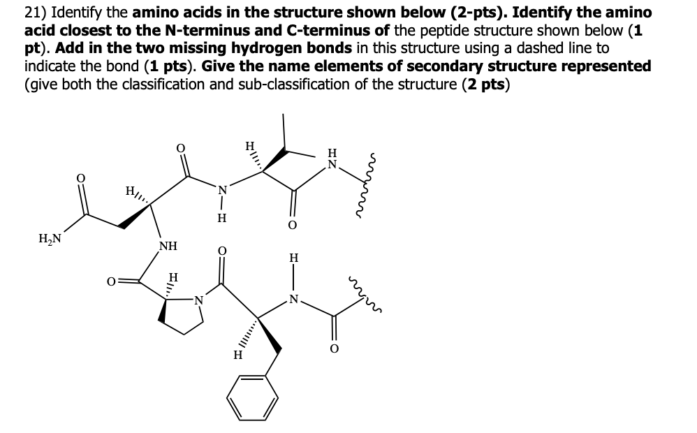 Solved 21) Identify the amino acids in the structure shown | Chegg.com