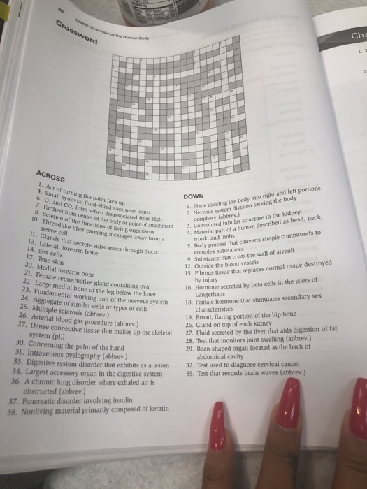 Cha the Human Boy . Plane dividing the body into | Chegg.com