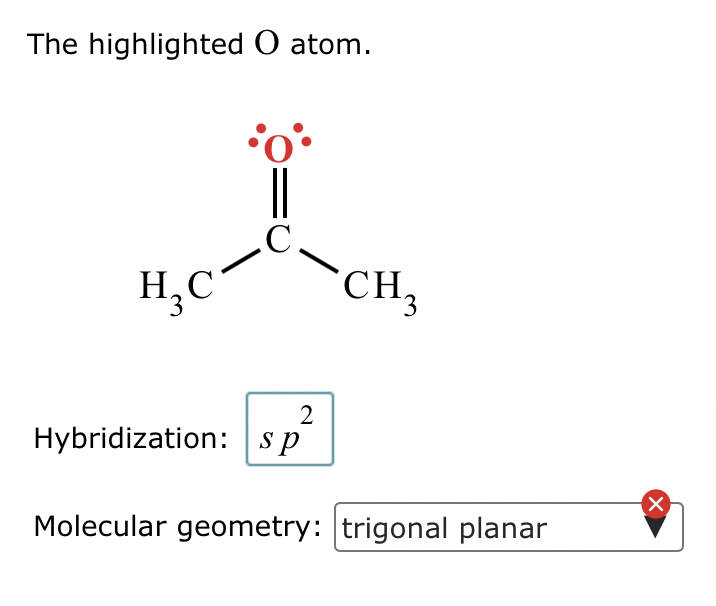 Solved The highlighted O atom. | Chegg.com