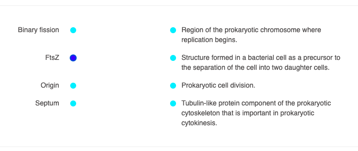 Solved Binary fissionFtsZOriginSeptumRegion of the | Chegg.com