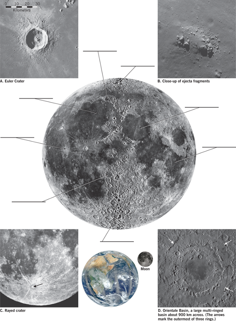 Solved Question 1 (Bottom line) On the central image of | Chegg.com