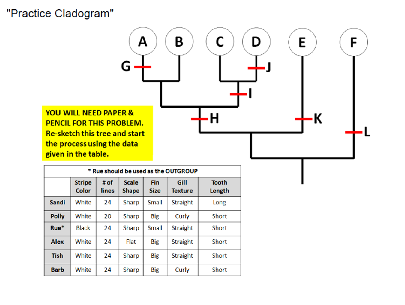 Solved "Practice Cladogram" YOU WILL NEED P PENCIL FOR THIS | Chegg.com