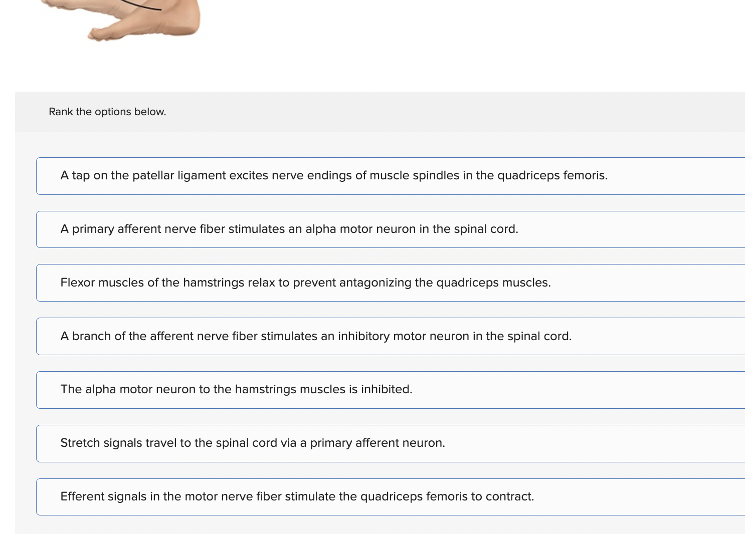 Solved Rank the options below.A tap on the patellar ligament | Chegg.com