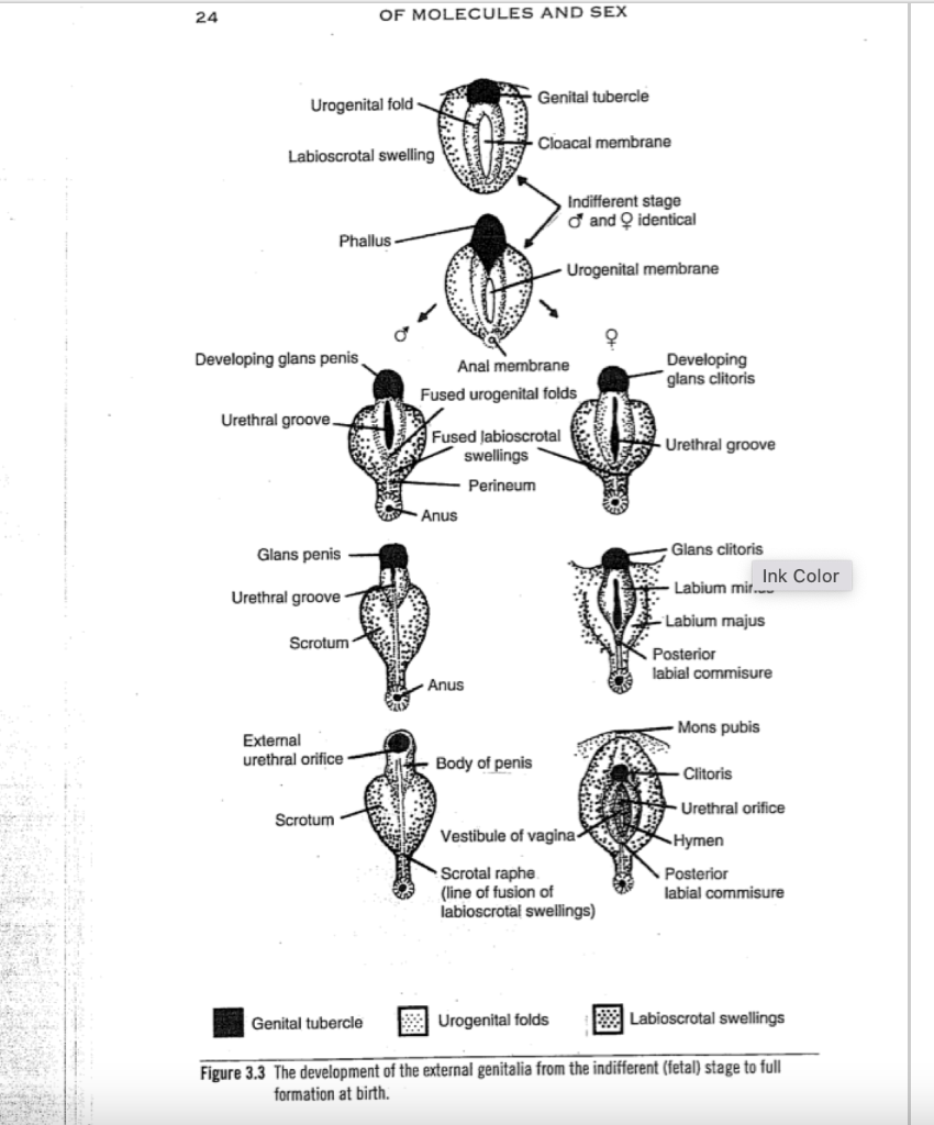 Solved 1 We Usually Discuss Sex As A Dichotomous Variable
