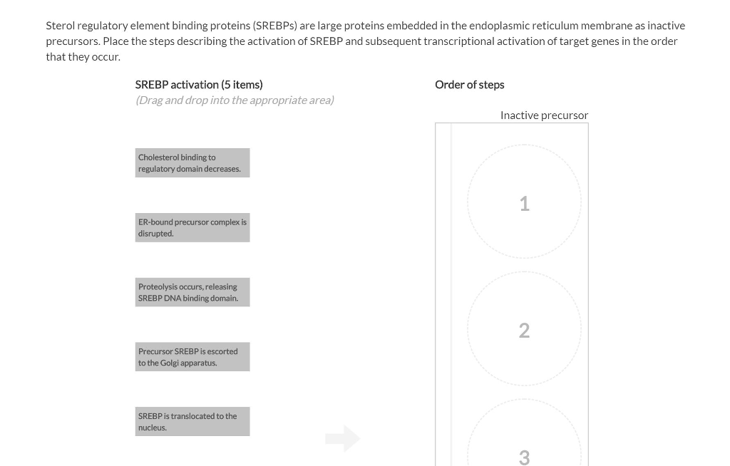 Solved Sterol regulatory element binding proteins (SREBPs) | Chegg.com