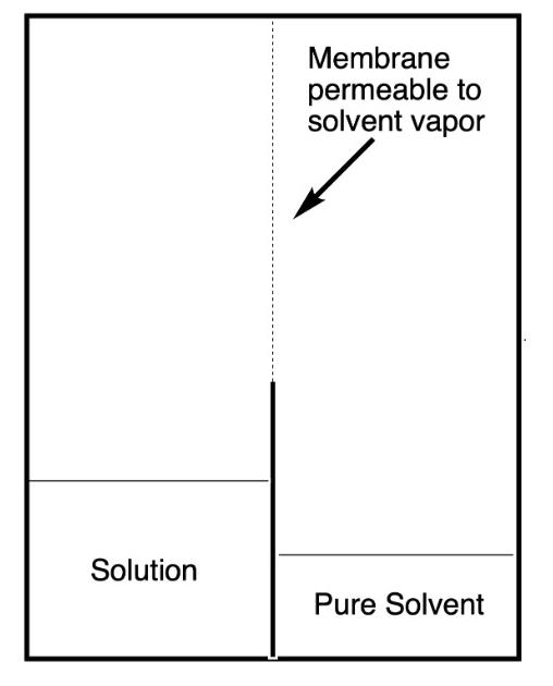 Membrane permeable to solvent vapor Solution Pure | Chegg.com