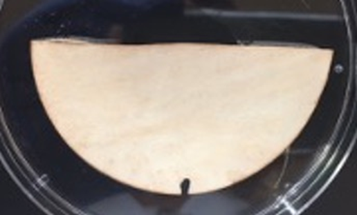 Solved What is the result of this esculin ID membrane test? | Chegg.com