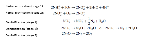 Solved Biological nitrogen removal through nitrification and | Chegg.com