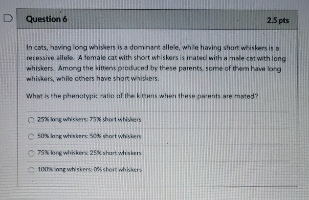 Solved Question 6 2.5 pts In cats, having long whiskers is a | Chegg.com