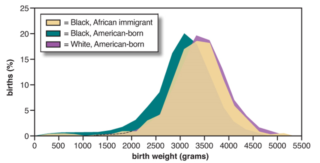 Solved Table 6.2 Racial disparities in America. 1 Sherry L. | Chegg.com