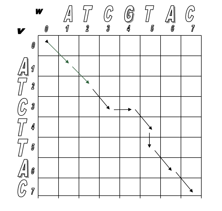 Solved Shown above is the longest path representing the | Chegg.com