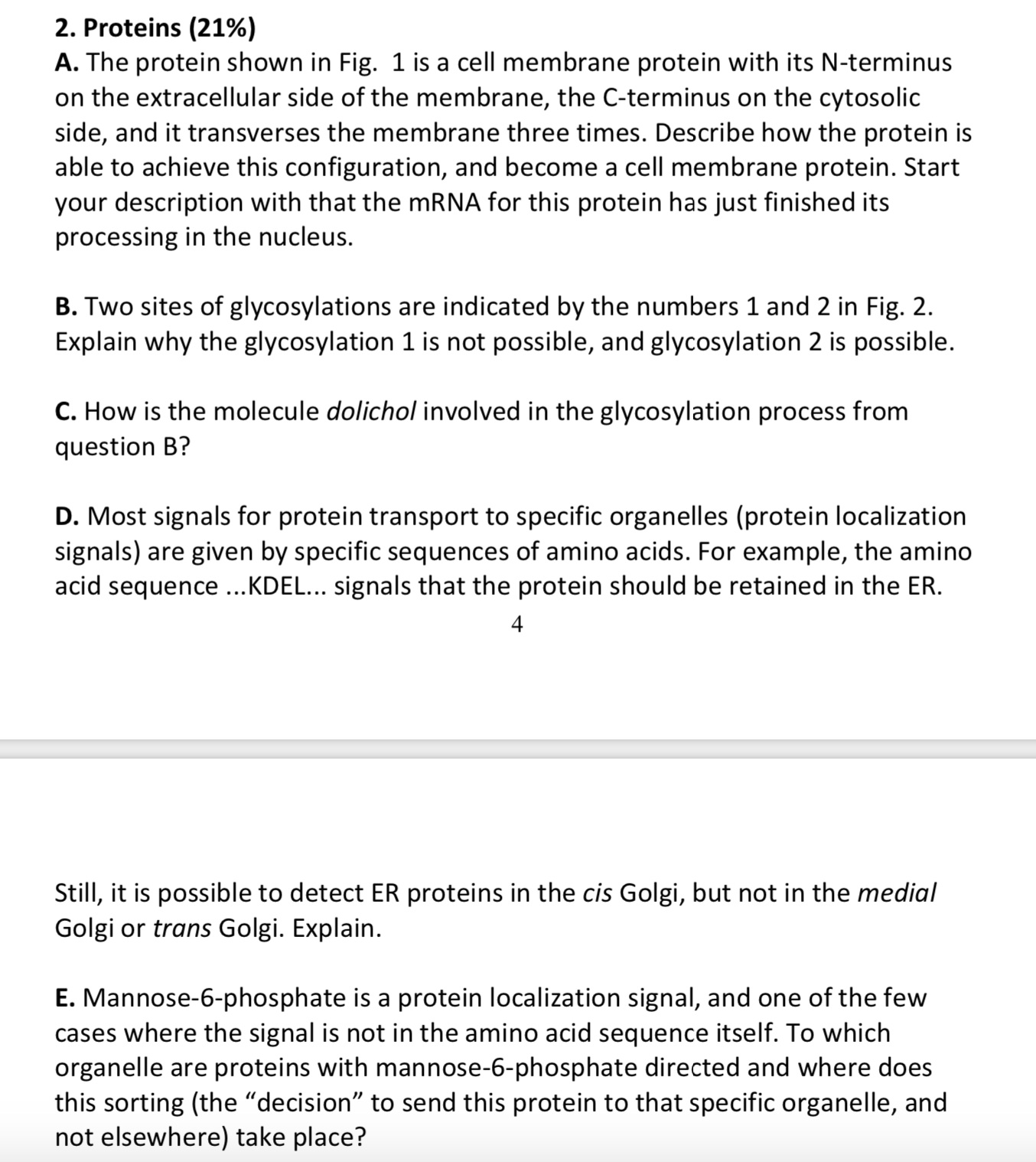 Solved Proteins (21%)A. ﻿The protein shown in Fig. 1 ﻿is a | Chegg.com