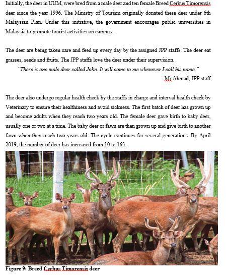 Initially, the deer in UUM, were bred from a male | Chegg.com