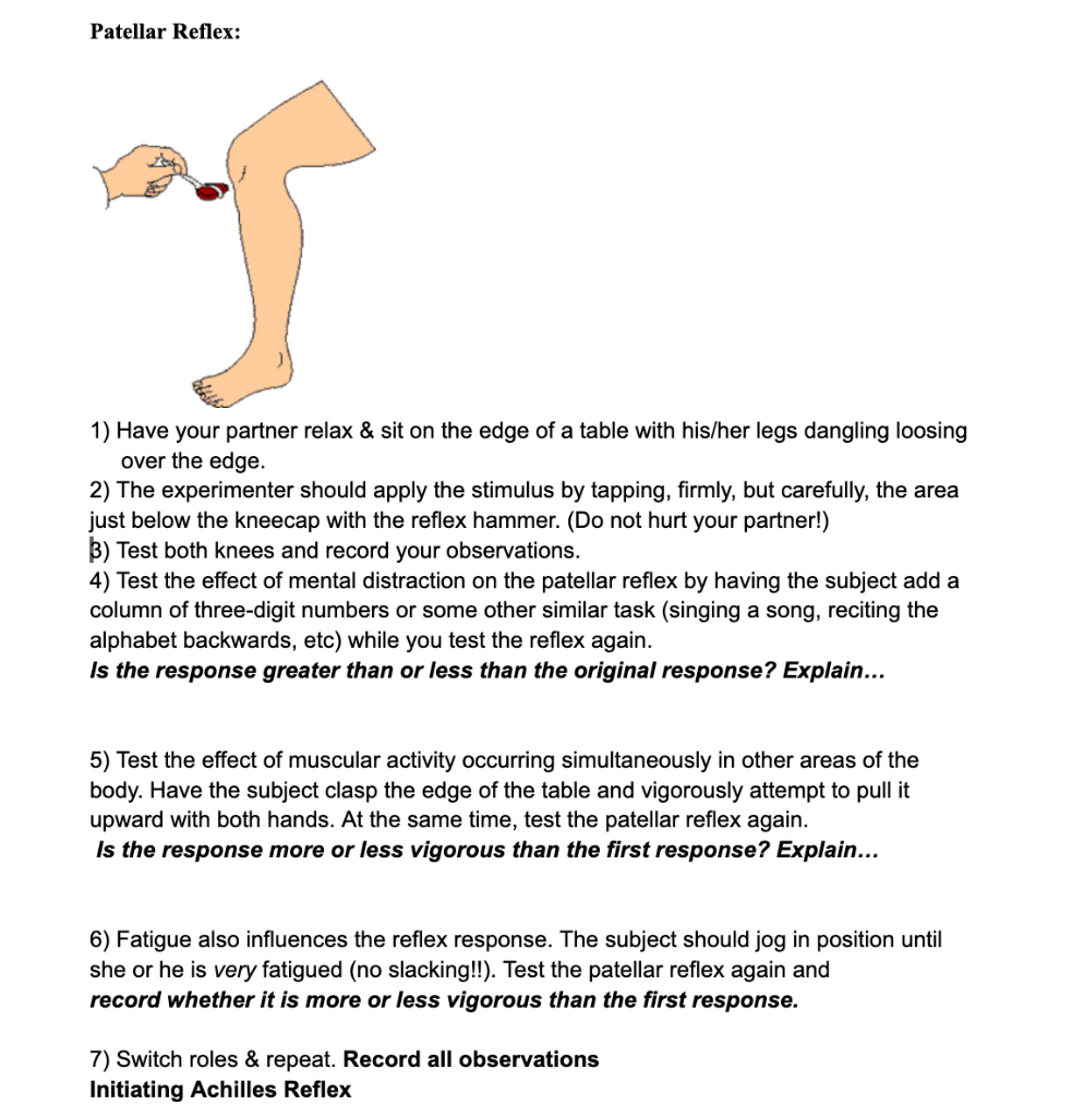 Solved Patellar Reflex: 1) Have your partner relax & sit on | Chegg.com