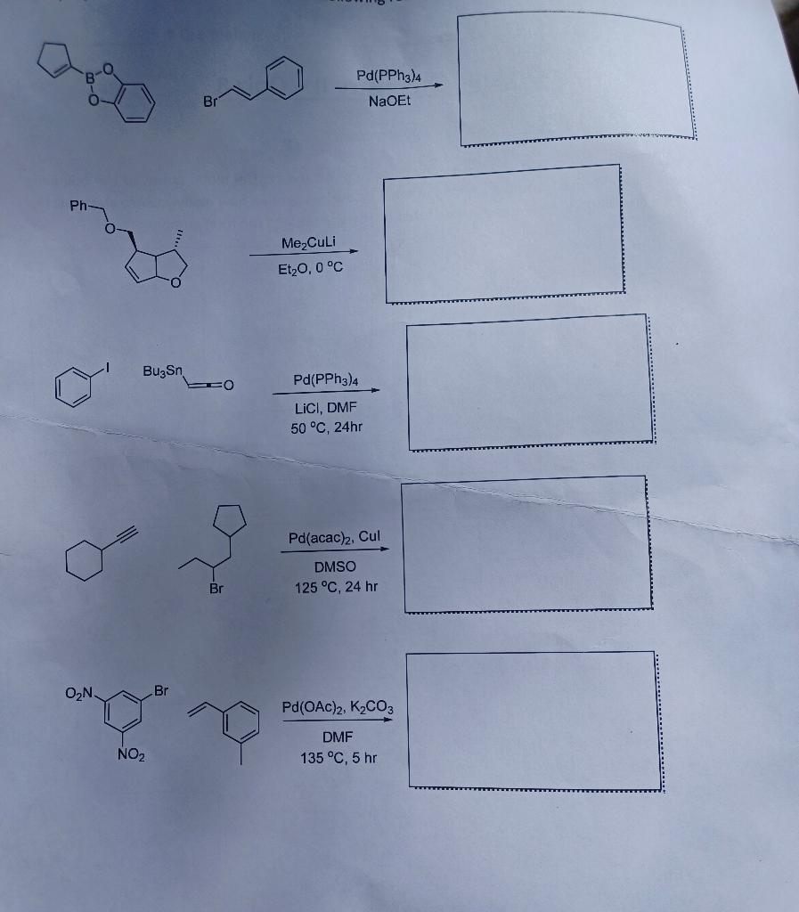 Solved NaOEt Pd(PPh3)4 Pd(acac)2,Cul DMSO 125∘C,24hr | Chegg.com