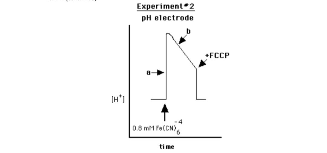 Solved a) What is the basis for the increase in H+ | Chegg.com