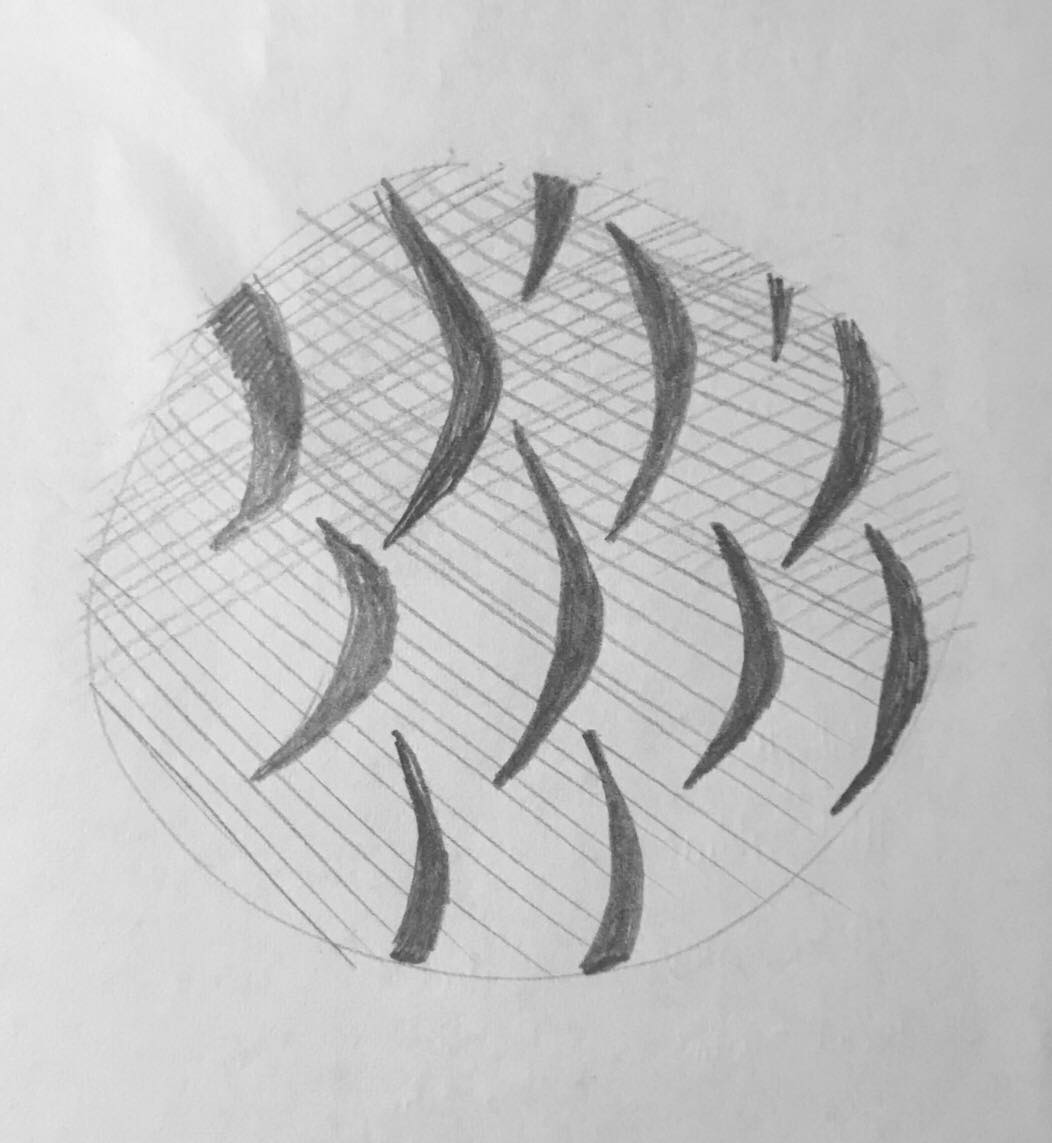 Solved label the snake skin: | Chegg.com