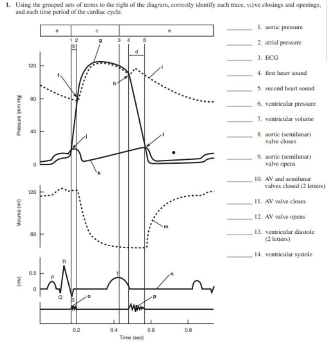 Solved 1. Using the grouped sets of terms to the right of | Chegg.com