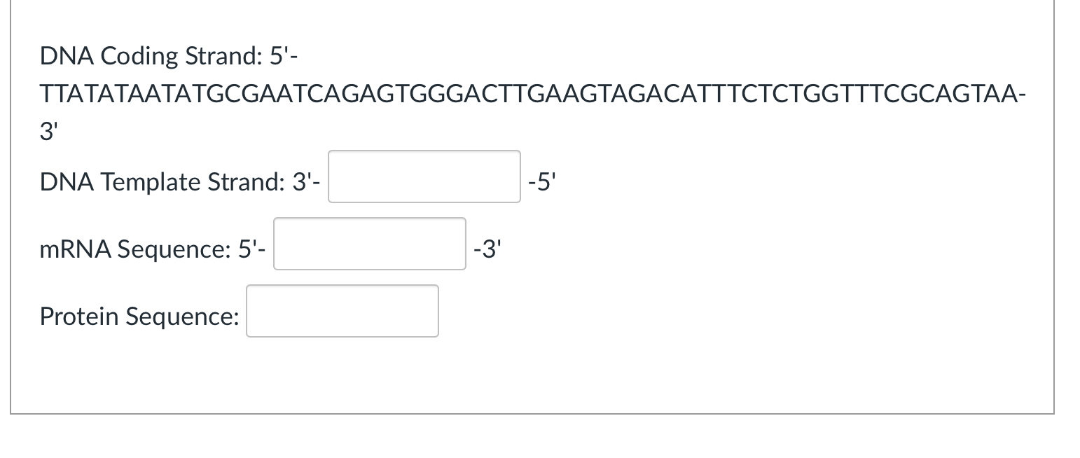 Solved DNA Coding Strand: 5'- | Chegg.com