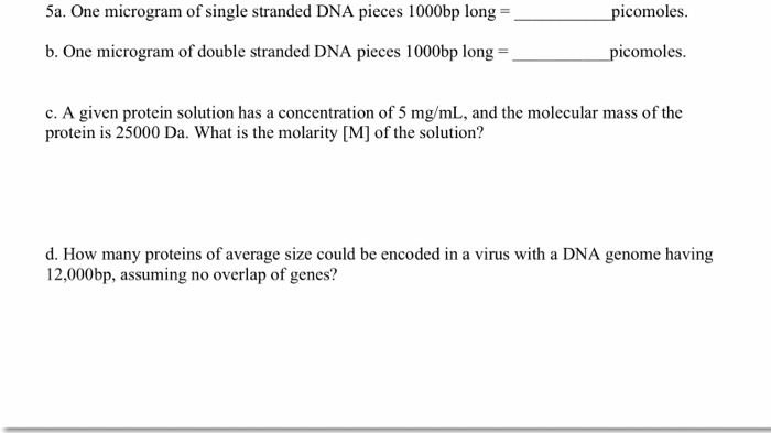 Solved 5a. One microgram of single stranded DNA pieces | Chegg.com